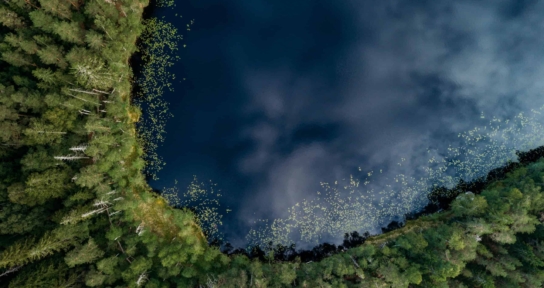 Ovzon 3 Launch – Ovzon